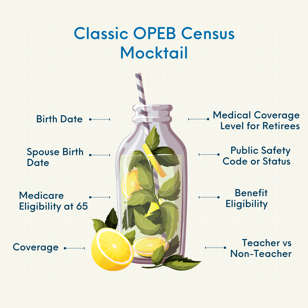 9 Things to Review for Your OPEB Census Audit - Odyssey Advisors, Inc